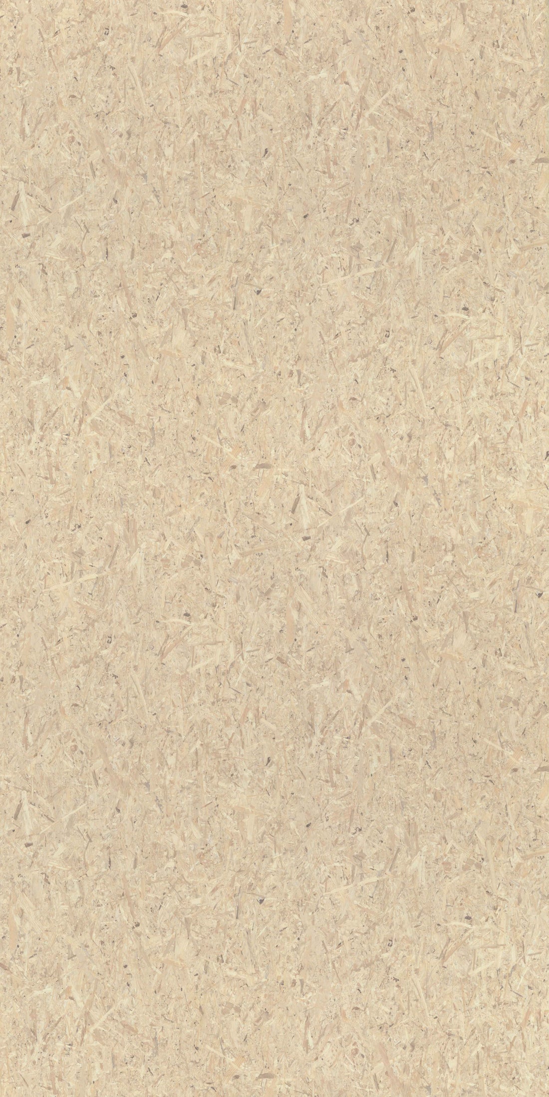 Recycled Plywood – SNS Laminates