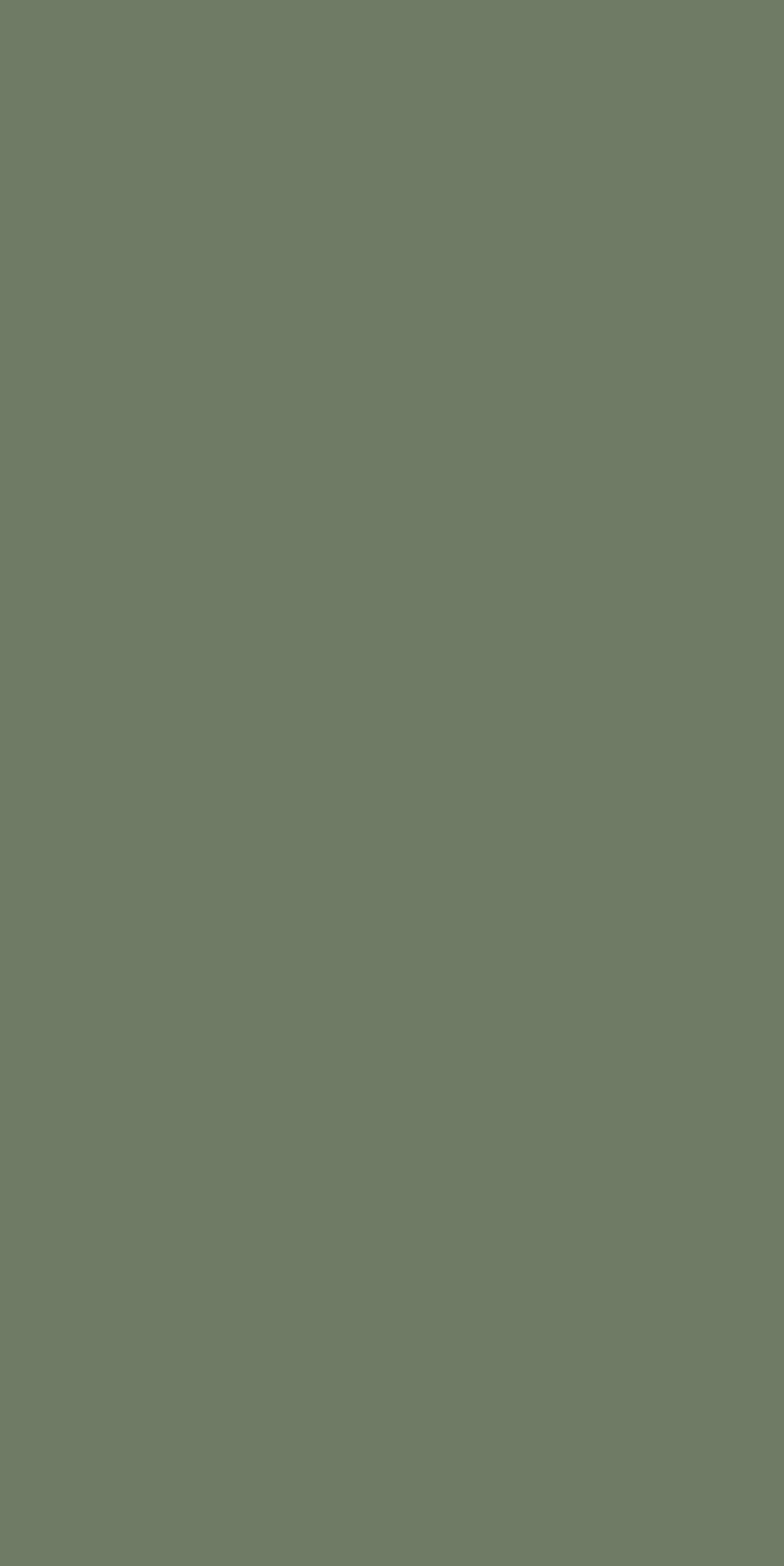 Camo Green Clay Matt – SNS Laminates